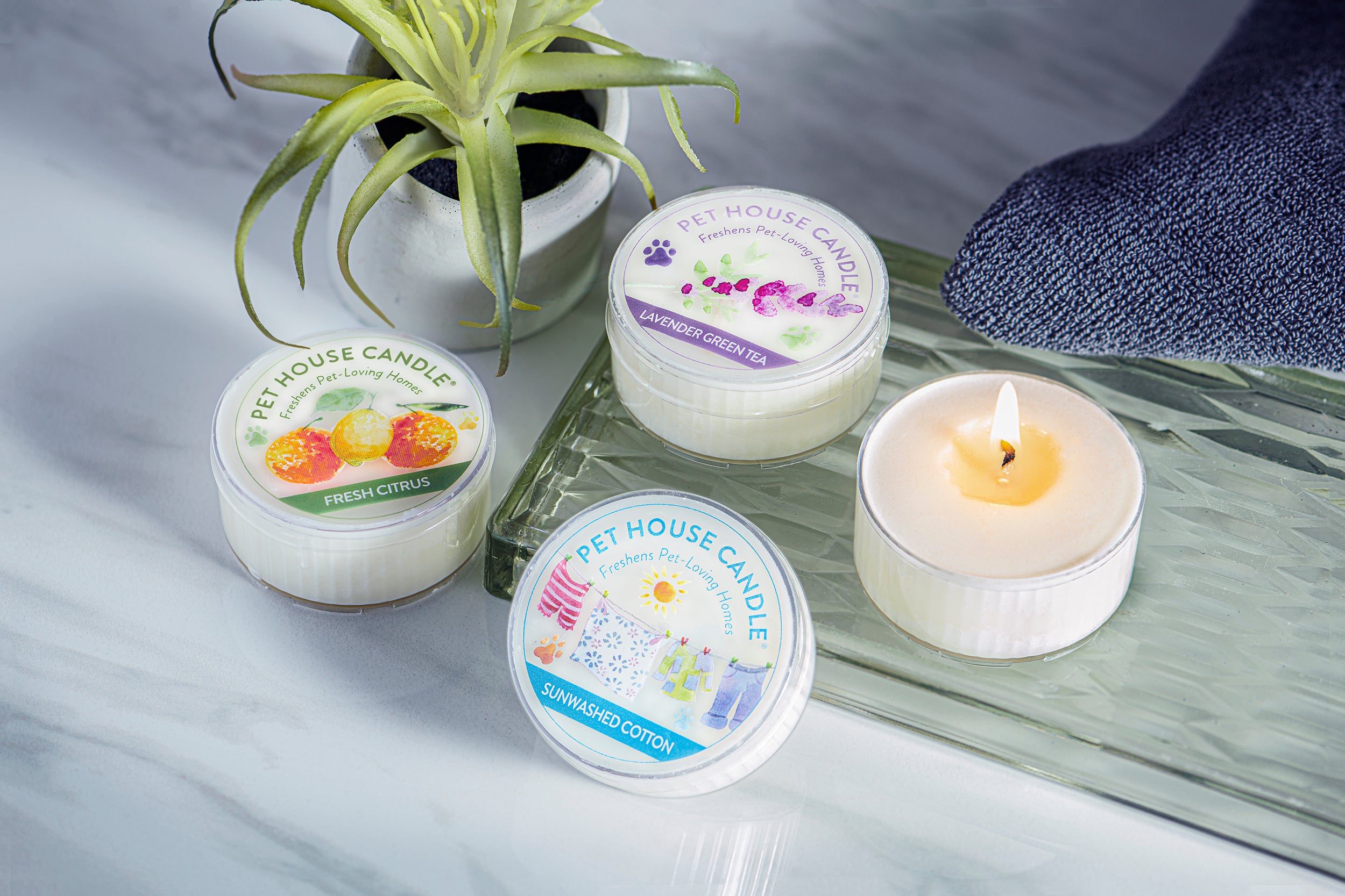 Mini Candles | Pet Friendly Candles – One Fur All