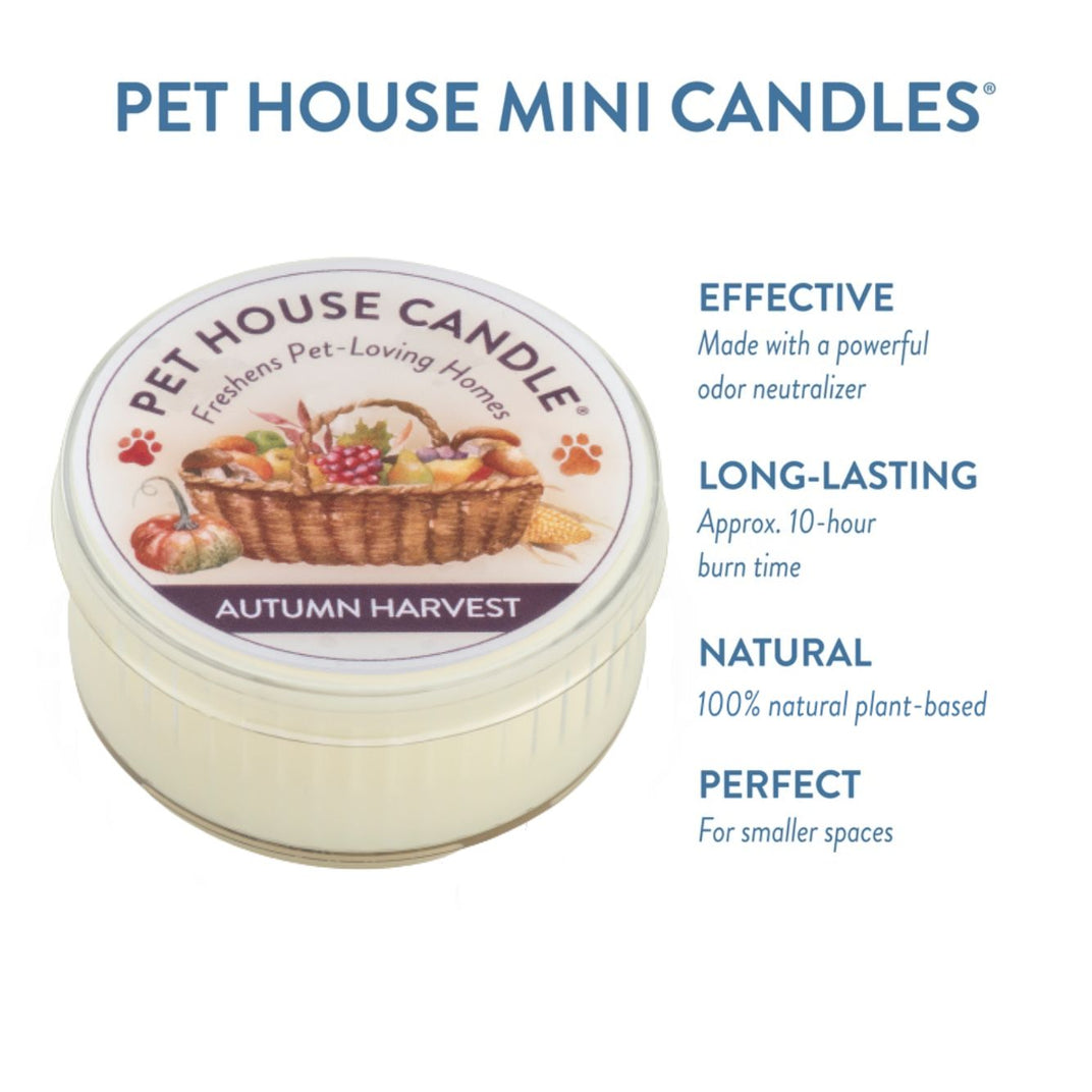 Mini Candles | Pet Friendly Candles – One Fur All