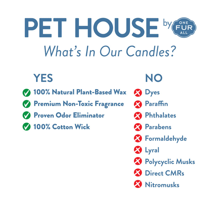 Mandarin Sage Pet House Mini Candle: Pet Odor Candle 100% Vegan Wax