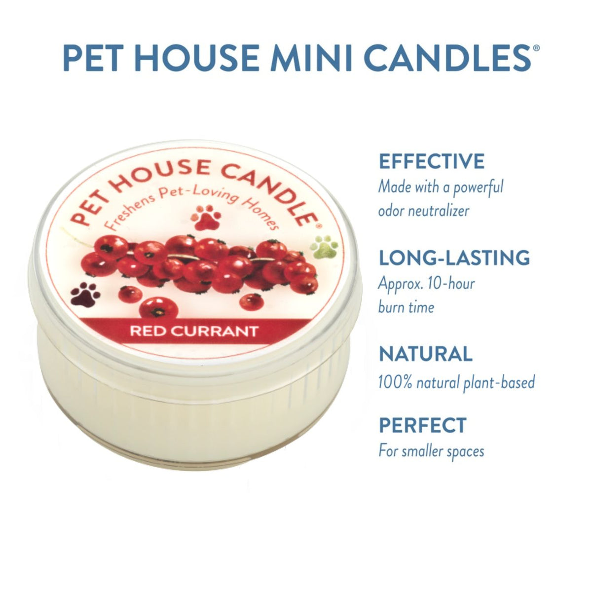 Red Currant Mini Candle: Pet Odor Candle 100% Plant-based Wax