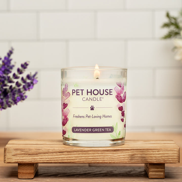 Pet House Candles by One Fur All - Natural Odor‑Eliminating Scents